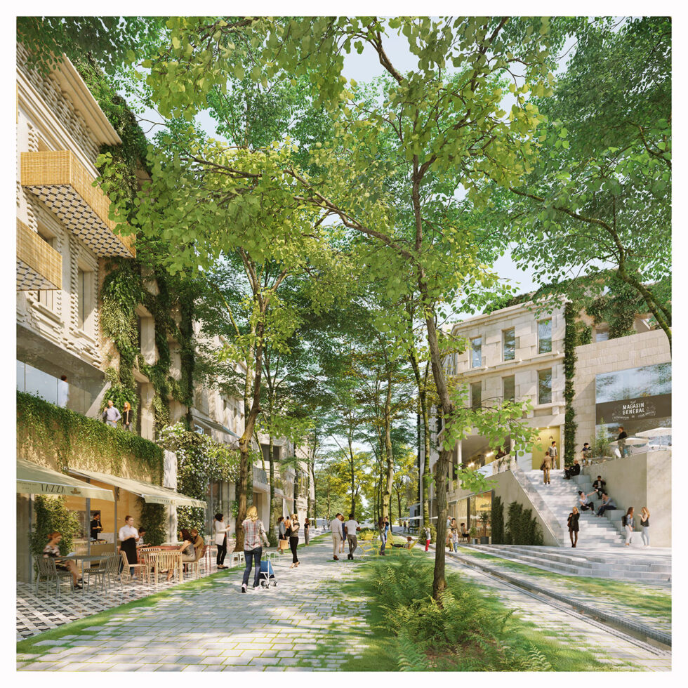 CANOPIA - Apsys Polska